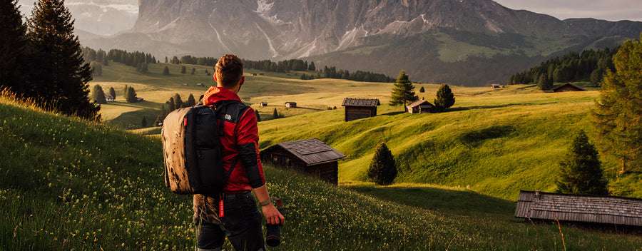 Spring Unfolds in Every Frame